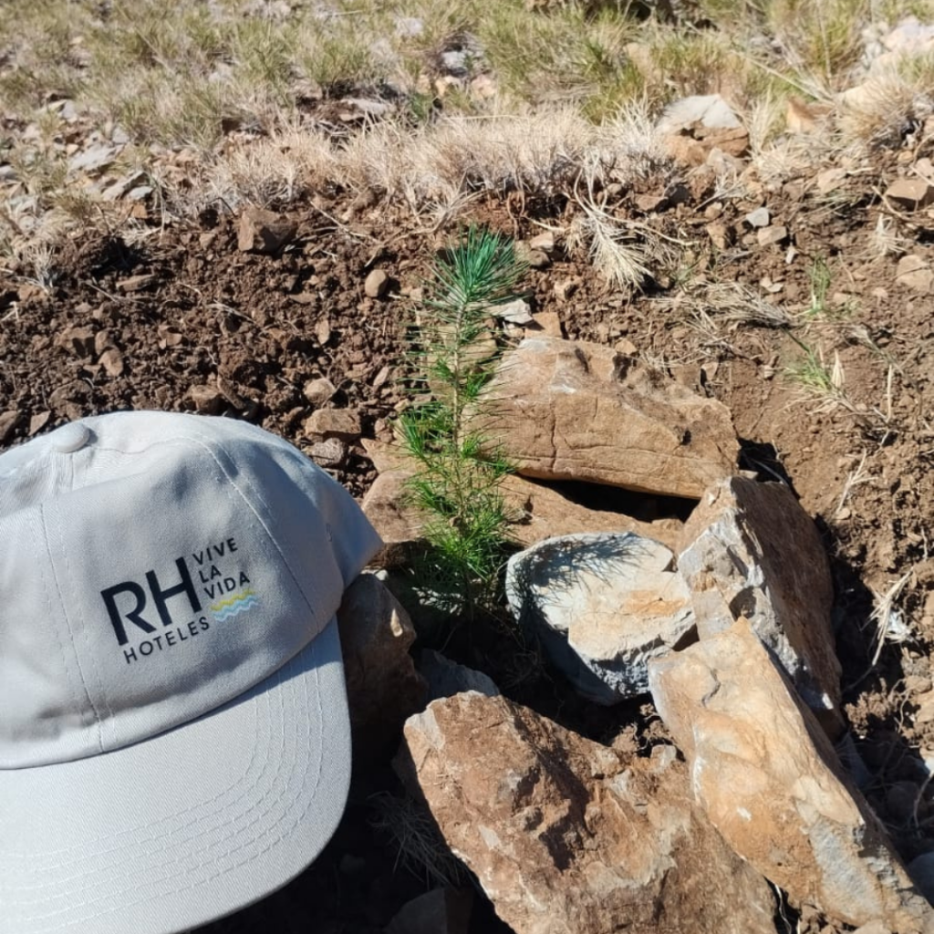 RH HOTELES CONTRIBUYE A LA RESTAURACIÓN ECOLÓGICA EN LA MARINA ALTA ...